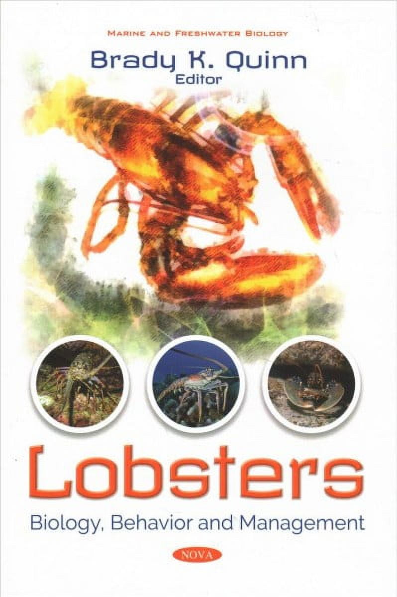 Lobsters - Walmart.com