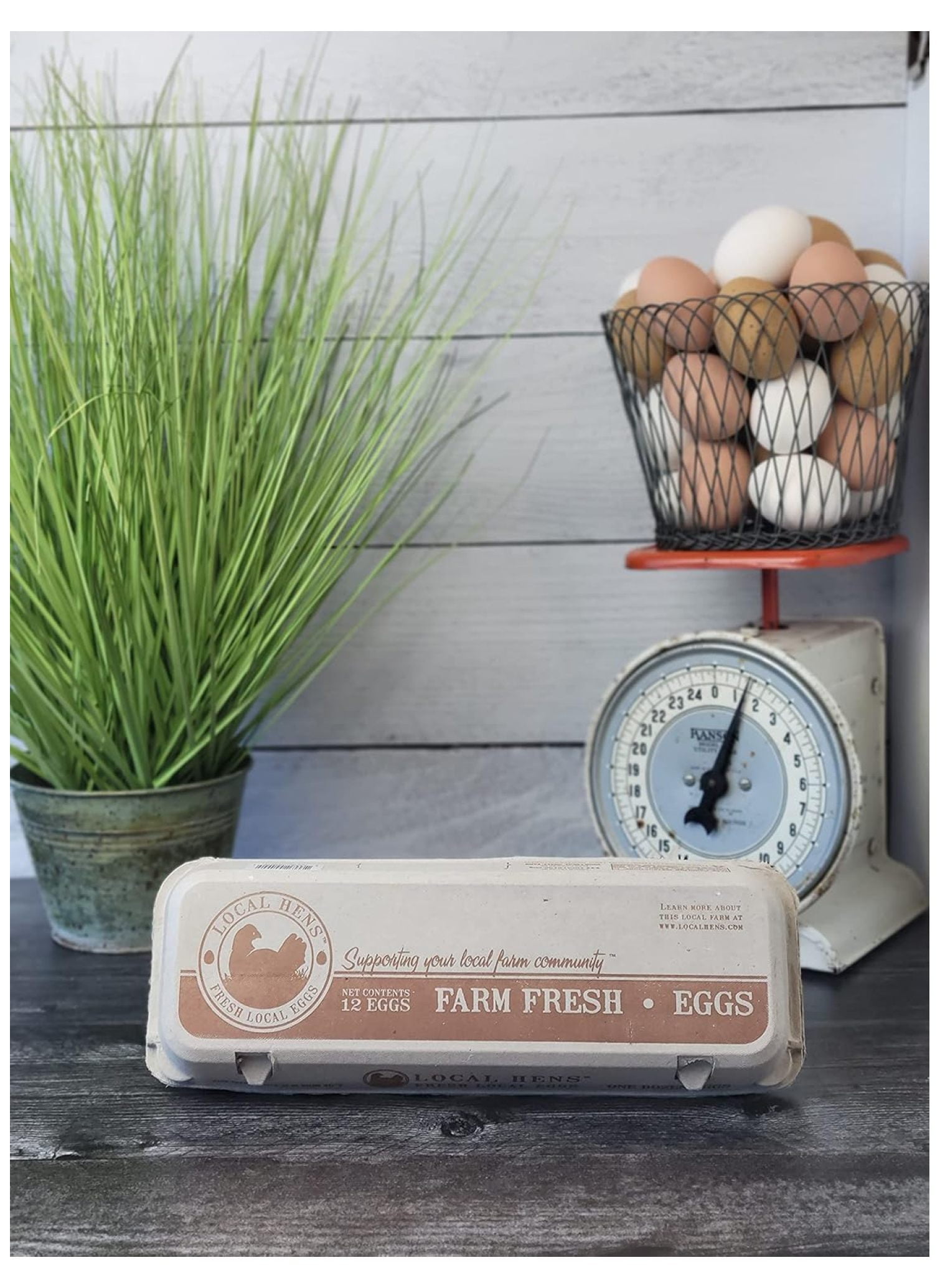 Local Hens 12-Egg No Grade/No Size Flat Top Paper Pulp Egg Carton with ...