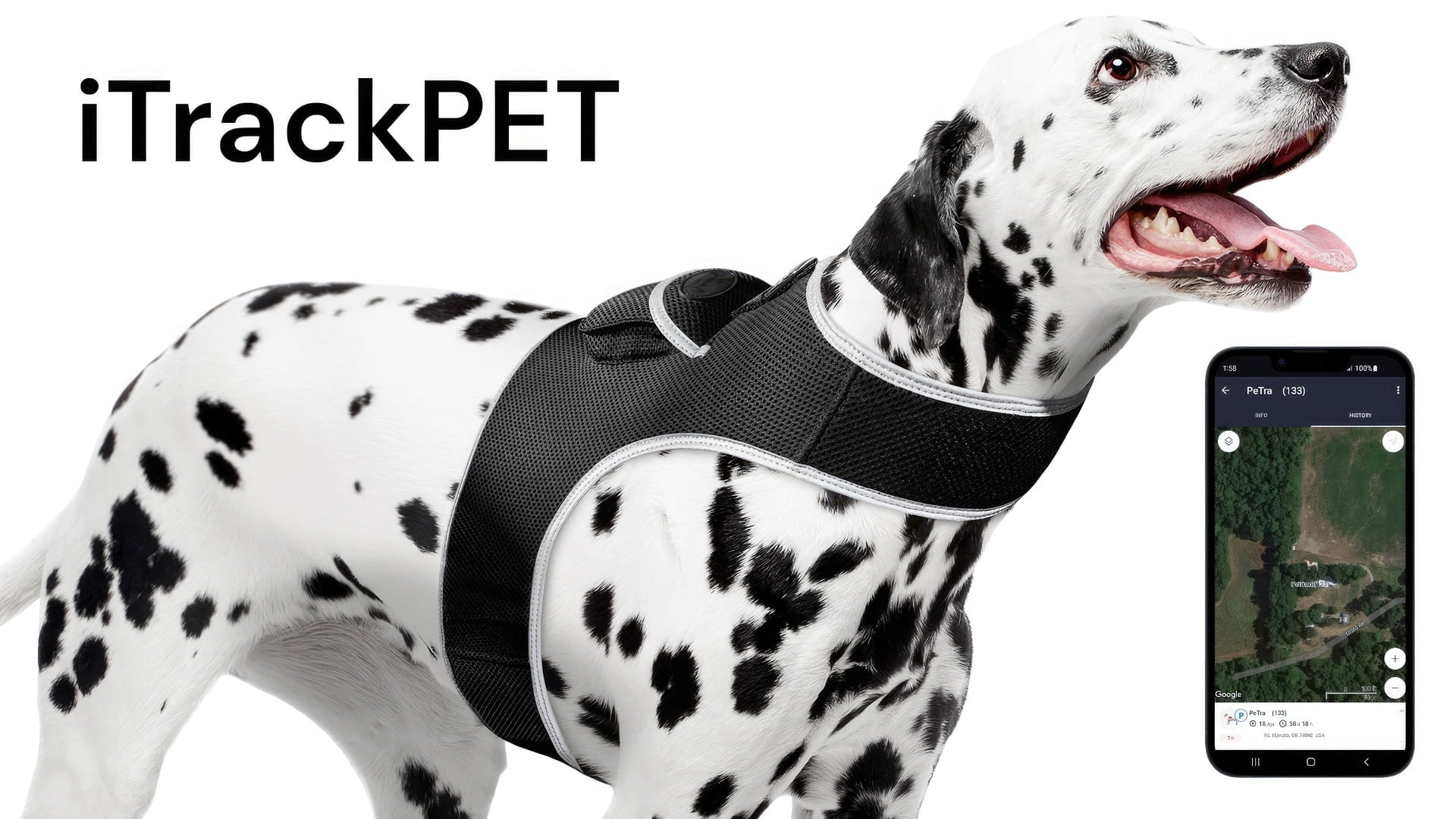 Locate Lost Pet with Mini GPS Pet Tracker Realtime GSM GPRS Tracking ...