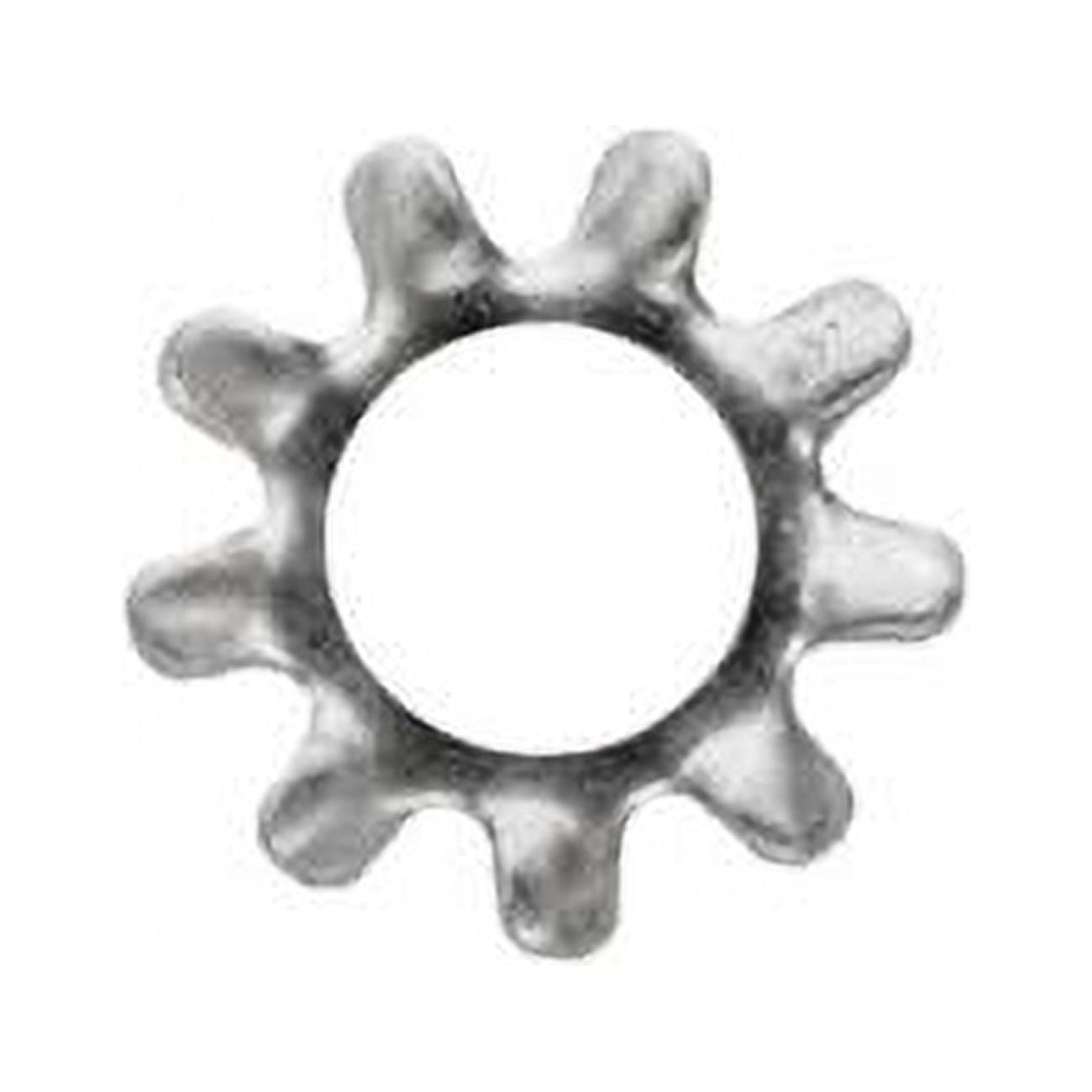 Lock Washer, Pentair Sta-Rite LT, #10 - Walmart Business Supplies