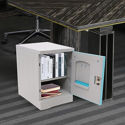 Lockable Storage Cabinet 19" with Keys, Metal Locker Footlocker ...