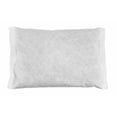 Lockdown Silica 450g - Walmart.com