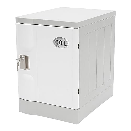 Locker, 19" Lockable Storage Cabinet with Keys, Great for Kids, Home ...