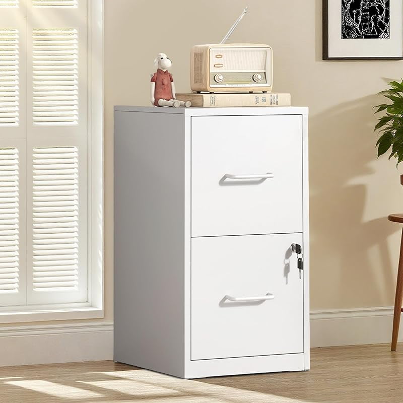 Locking Vertical File Cabinet, Metal Storage Cabinet for Office/Home ...