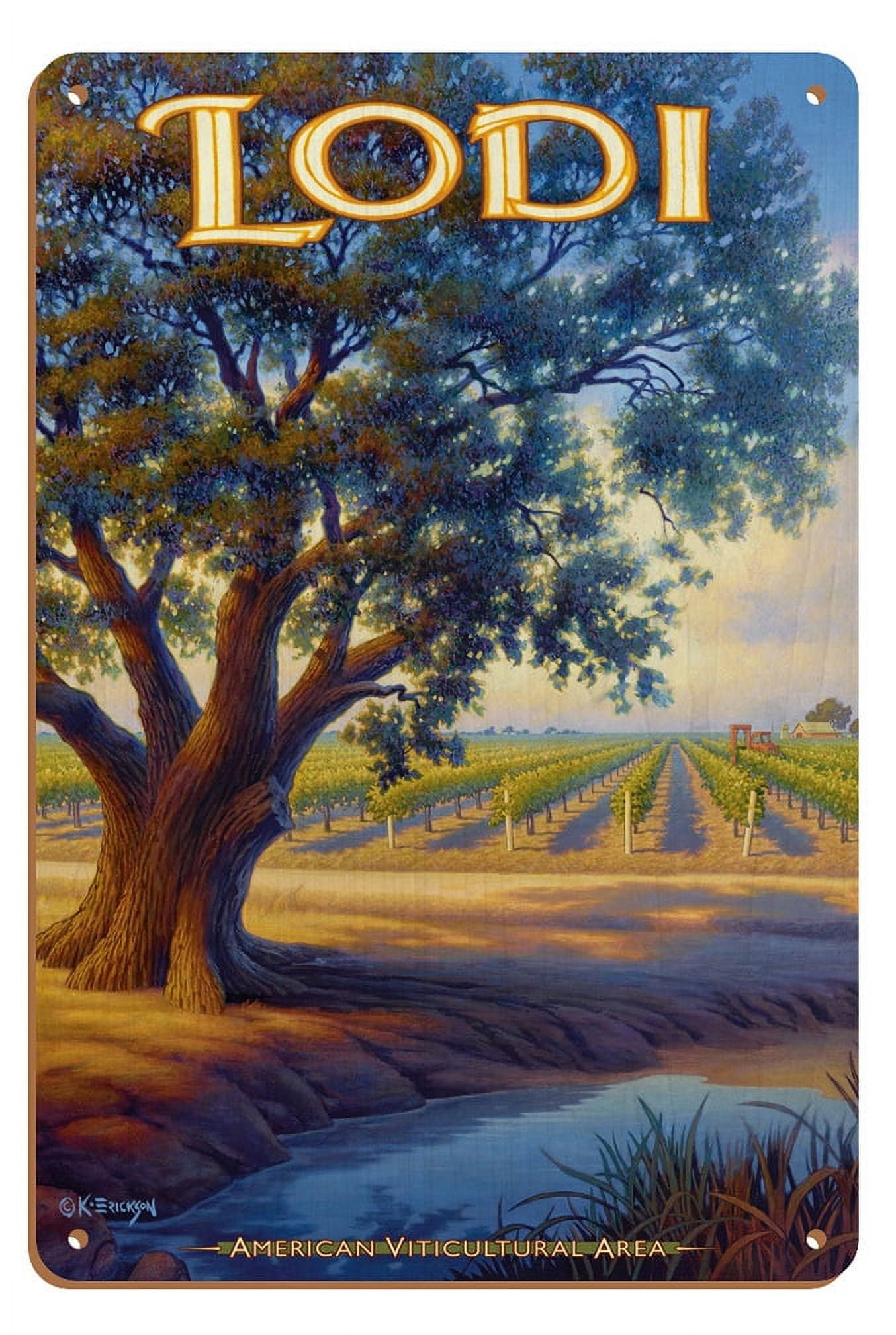 Lodi Wineries - Valley Oak (Quercus lobata) - California Vineyards Wine ...