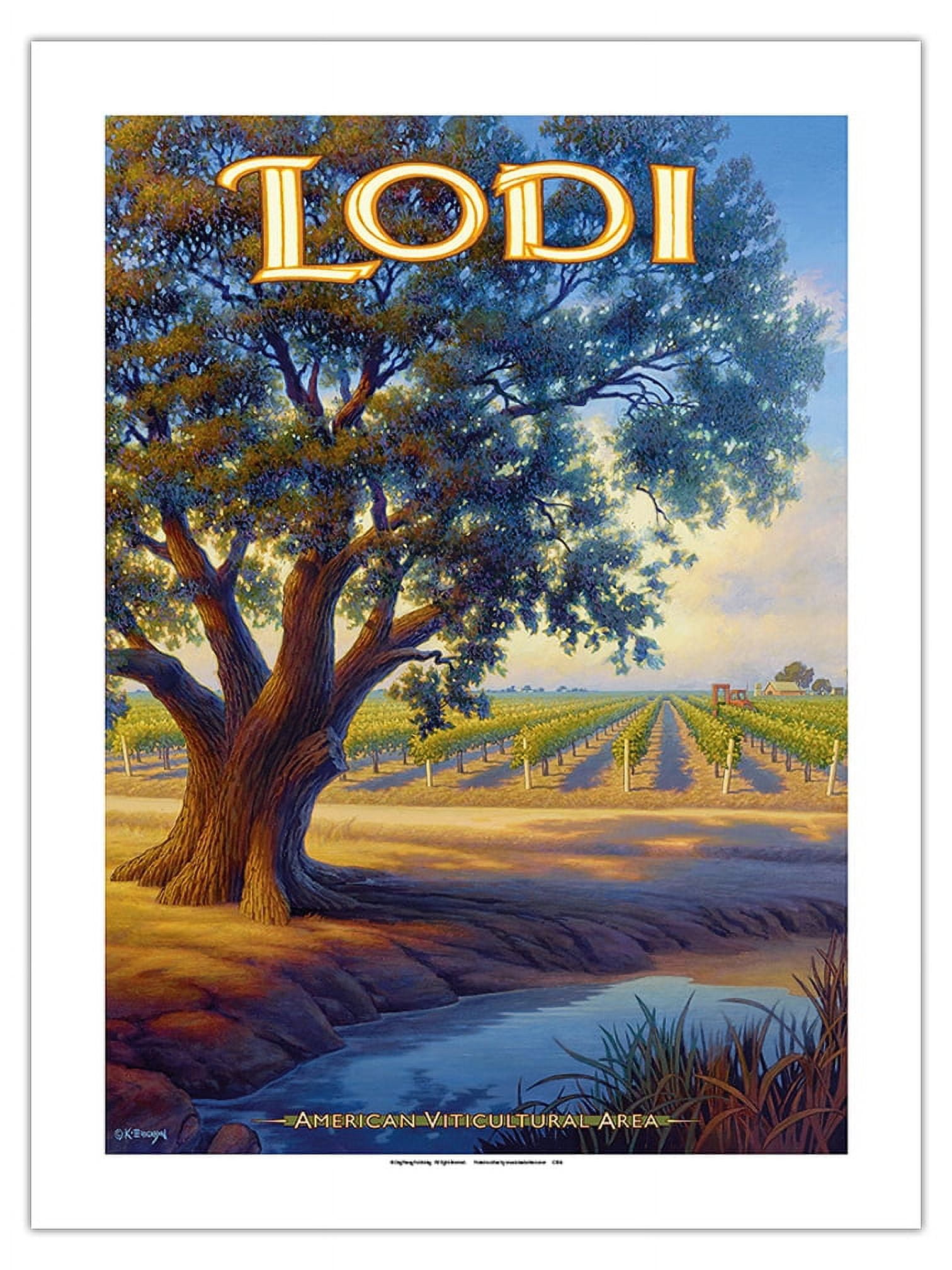 Lodi Wineries - Valley Oak (Quercus lobata) - California Vineyards Wine ...