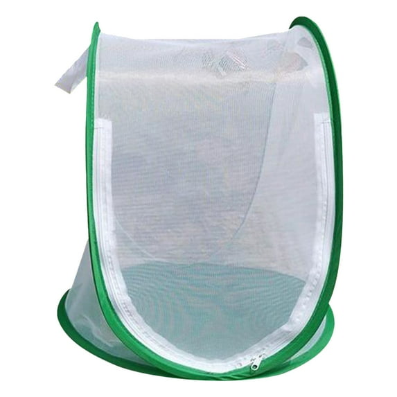 Loetky Foldable Butterfly Habitat Cage, Portable Mesh Terrarium with ...