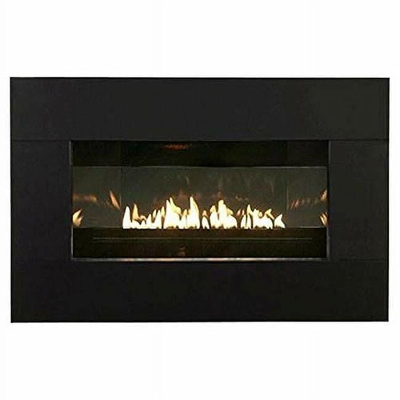 Loft Series 10000 BTU Millivolt Zero-Clearance Liquid Propane Fireplace ...