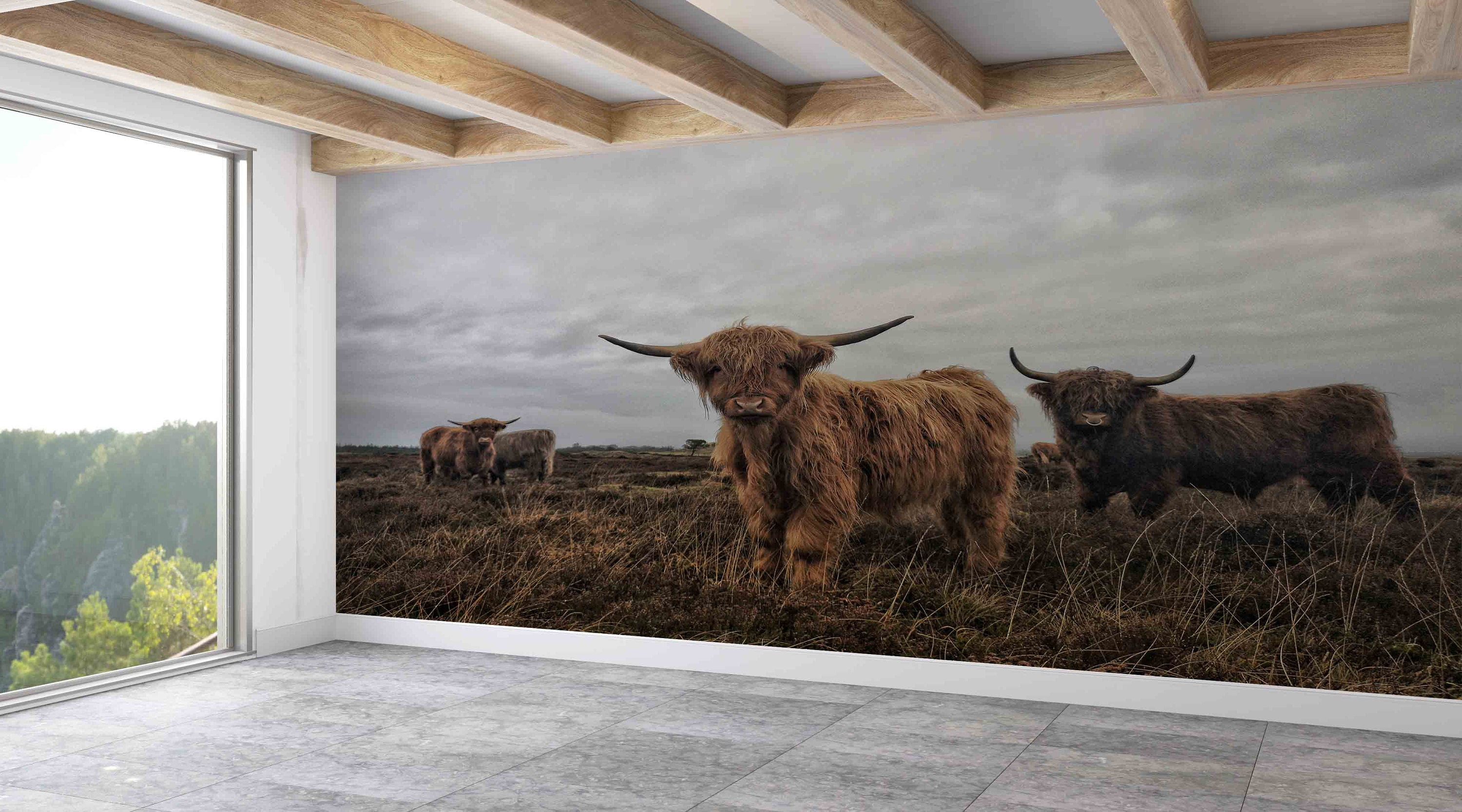 Loft Wall Art, Wallpaper Wall Art, 3d Wallpaper, Highland Cow, Custom ...