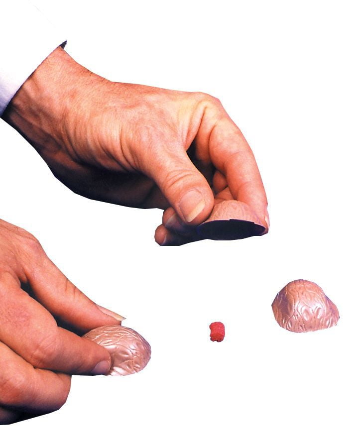 Morris Costumes LA-56 Shell Trick - Walmart.com