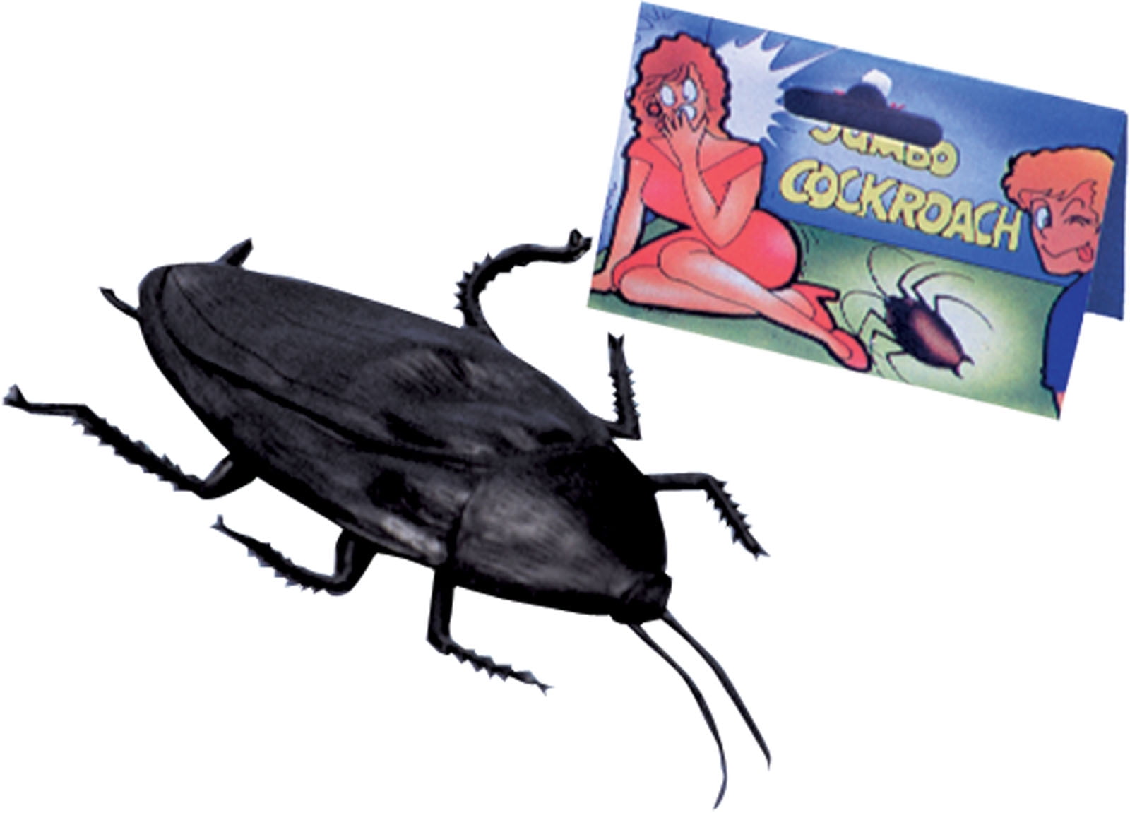 Loftus Jumbo Cockroach Halloween 6.5" x 3" Decoration Prop, Black ...