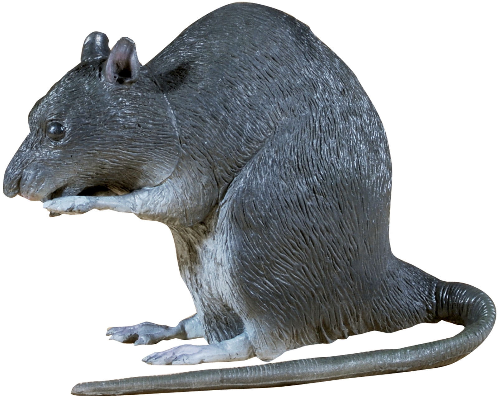 Loftus Lifelike Standing Rat 7" Decoration Prop, Grey - Walmart.com