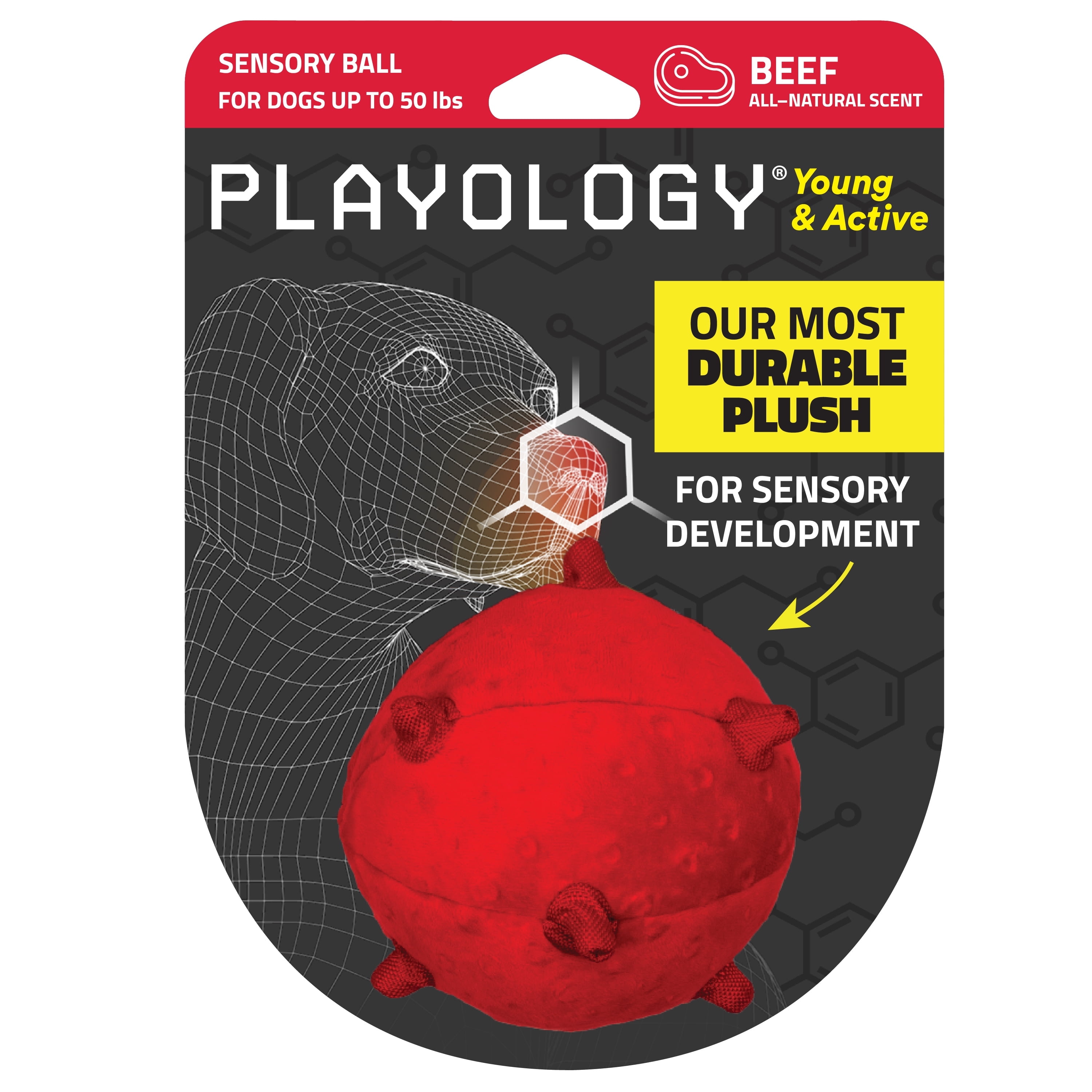 Playology Puppy Dog Ball Toy for Sensory Development | Medium Sized ...