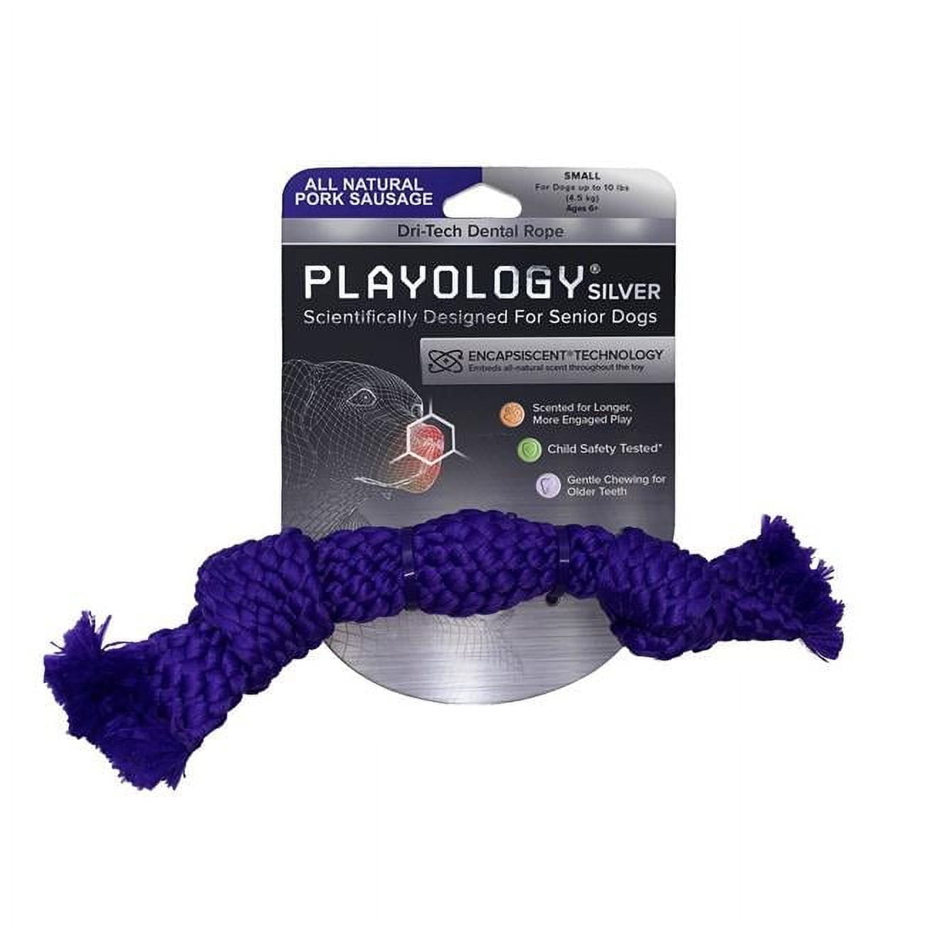 Logical Brands Playology Silver Pork Scent Dri-Tech Dental Rope Dog Toy ...