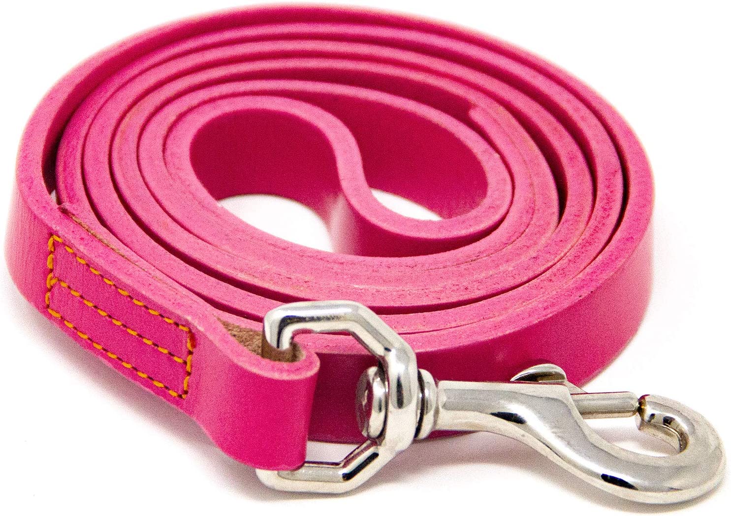 Logical Leather 4 Foot Dog Leash - Best for Training - Water Resistant ...
