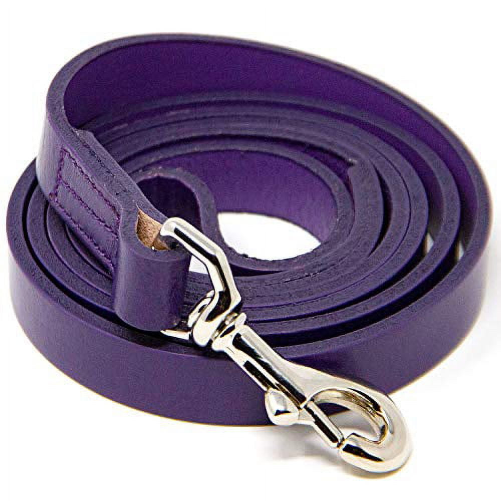 Logical Leather 5 Foot Dog Leash - Best for Training - Water Resistant ...