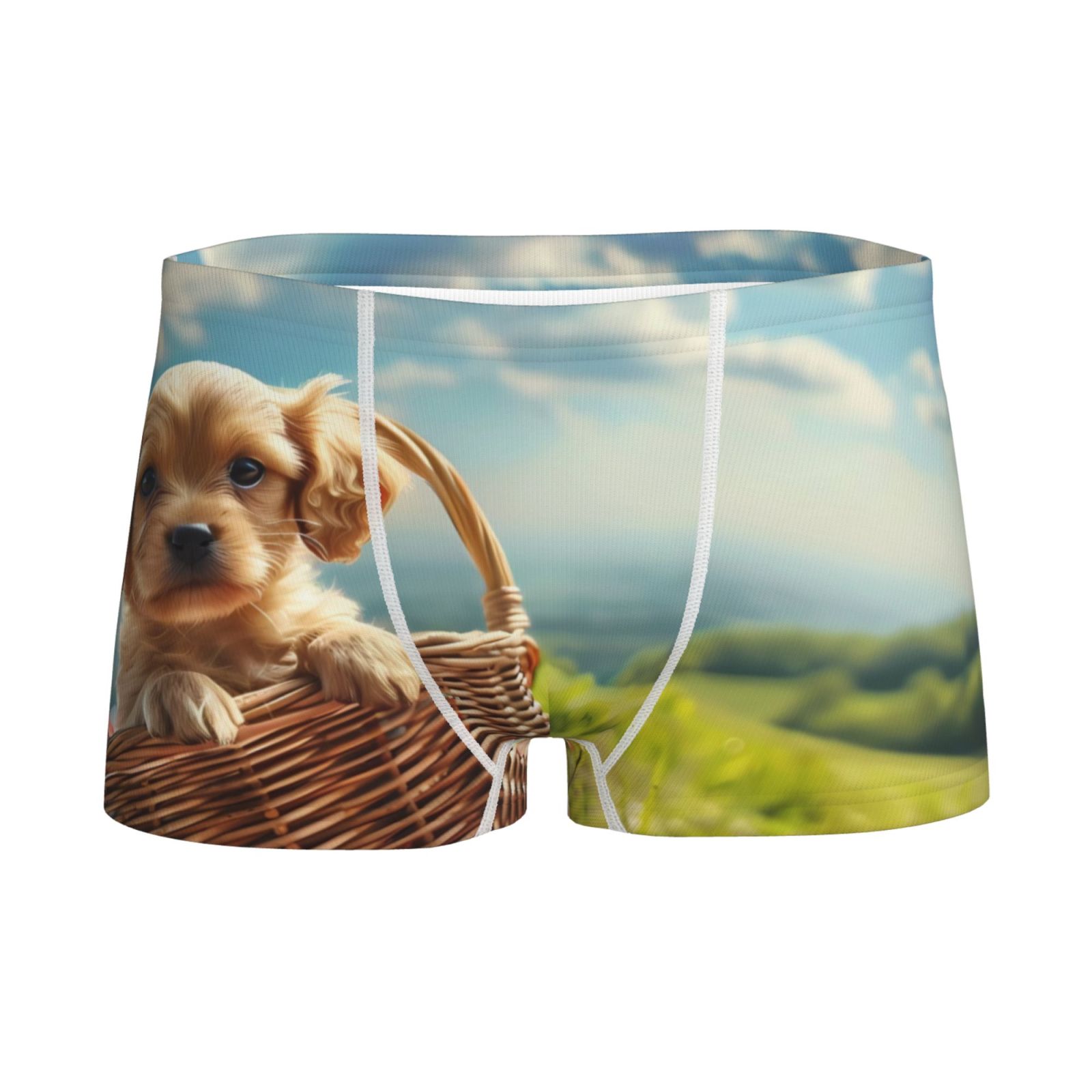 Logiee Adorable Puppy Basket Print Boys' Boxer Briefs,Tween Boy ...