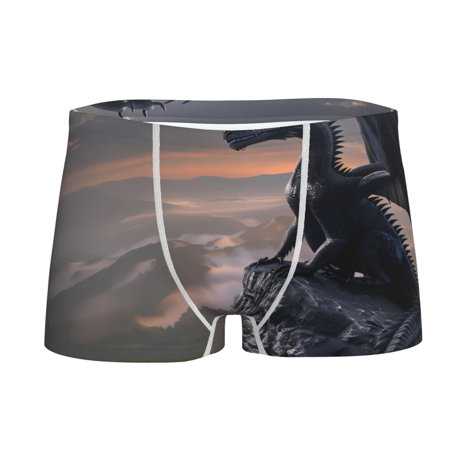 Logiee Black Dragon Cliff Dawn Print Boys' Boxer Briefs,Tween Boy ...