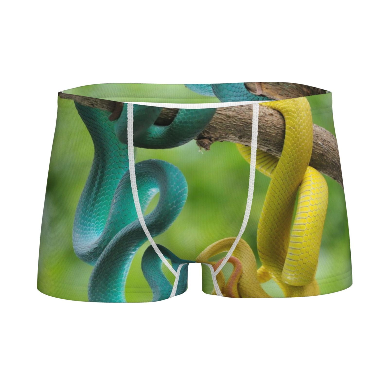 Logiee Blue Viper And Yellow Viper Snake Print Boys' Boxer Briefs,Tween ...