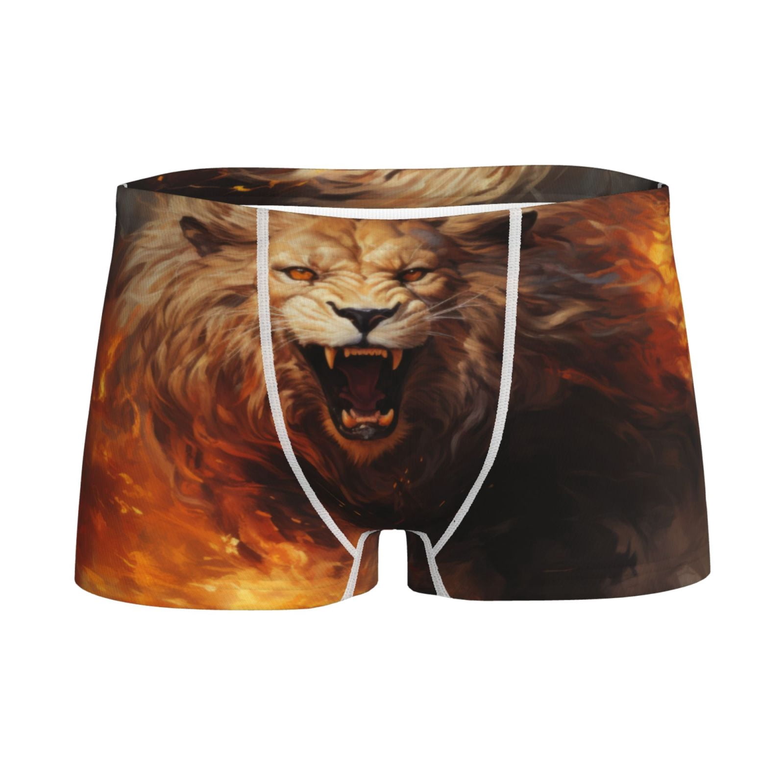 Logiee Cool Fire Lion Print Boys' Boxer Briefs,Tween Boy Underwear ...