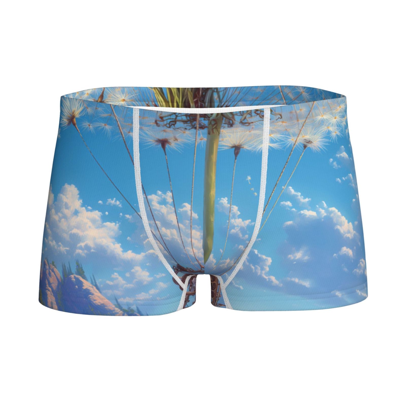 Logiee Dandelion Hot Air Balloon Print Boys' Boxer Briefs,Tween Boy ...