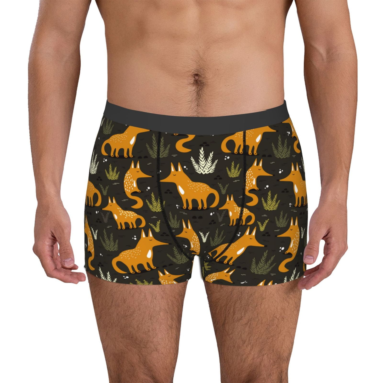 Logiee Funny Fox by the Field Print Mens Boxer Briefs,Boxer Briefs for ...