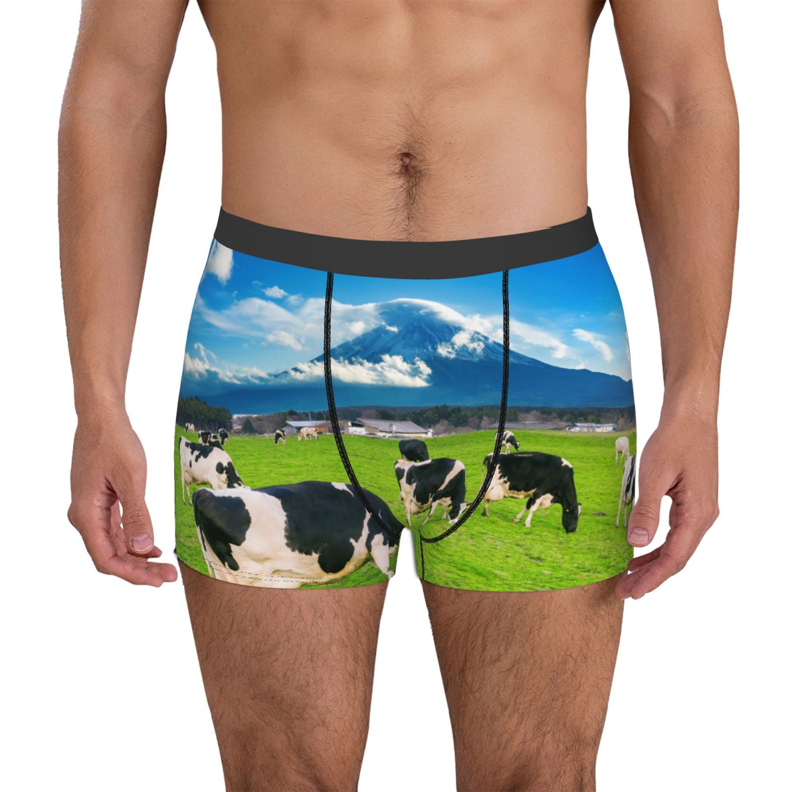 Logiee Grazing Cows Mountain View Print Mens Boxer Briefs,Boxer Briefs ...