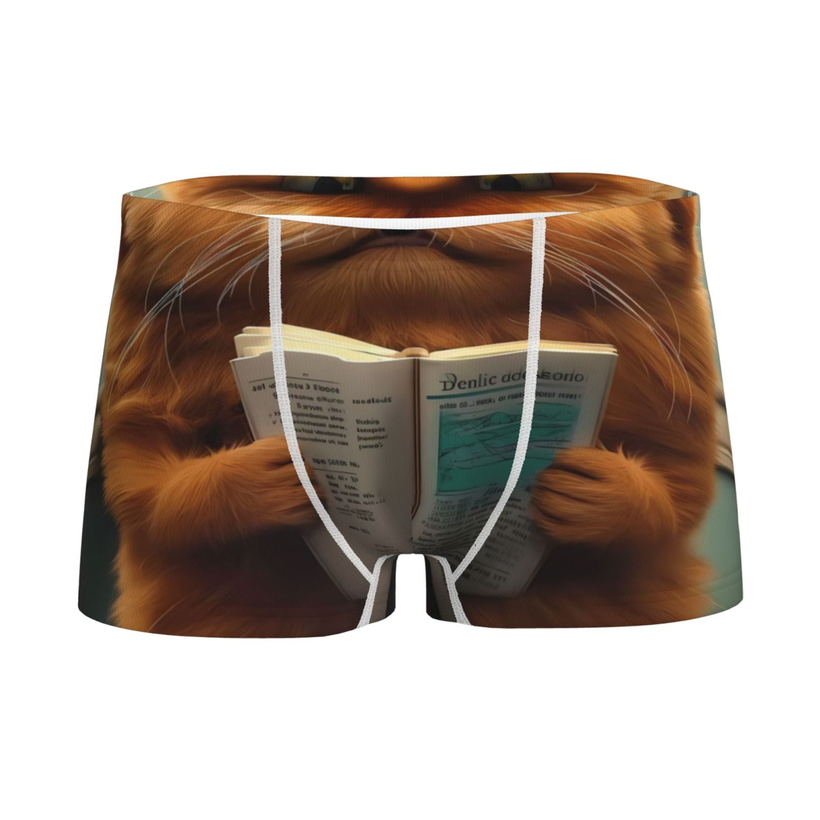 Logiee Grumpy Cat Reading Book Print Boys' Boxer Briefs,Tween Boy Underwear- - Walmart.com