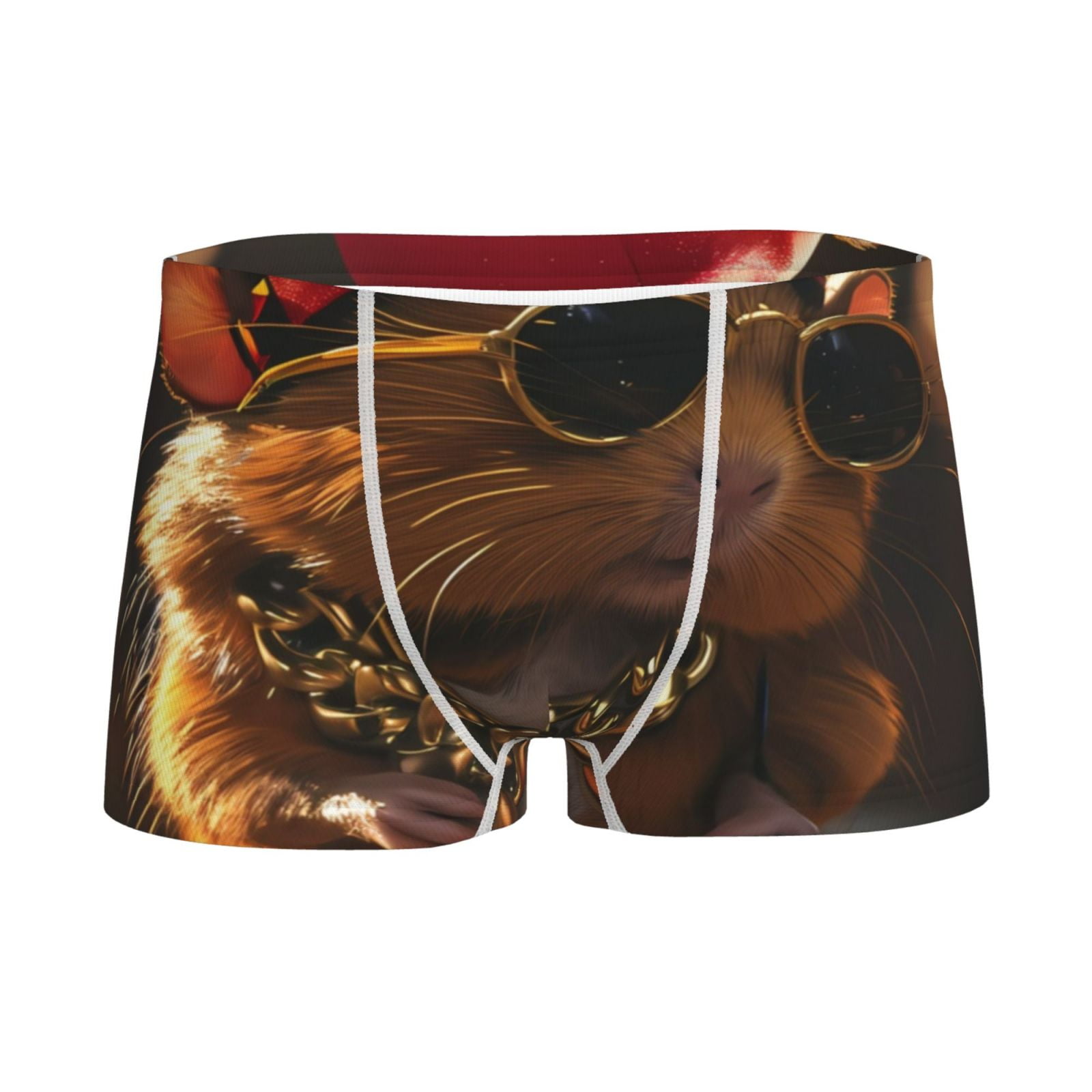 Logiee Hip-Hop Guinea Pig. Print Boys' Boxer Briefs,Tween Boy Underwear ...