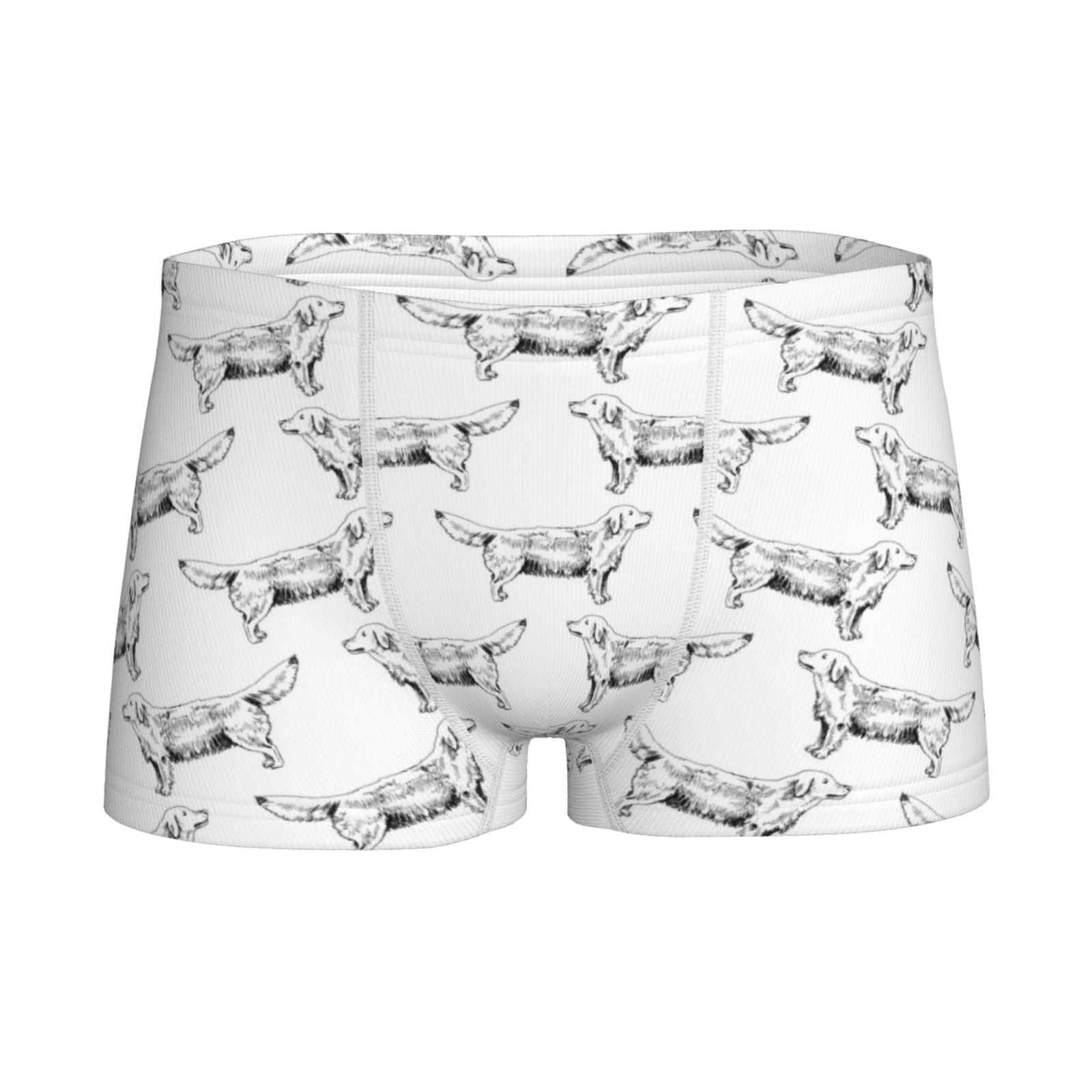 Logiee Labrador Retriever Dog Print Boys' Boxer Briefs,Tween Boy ...