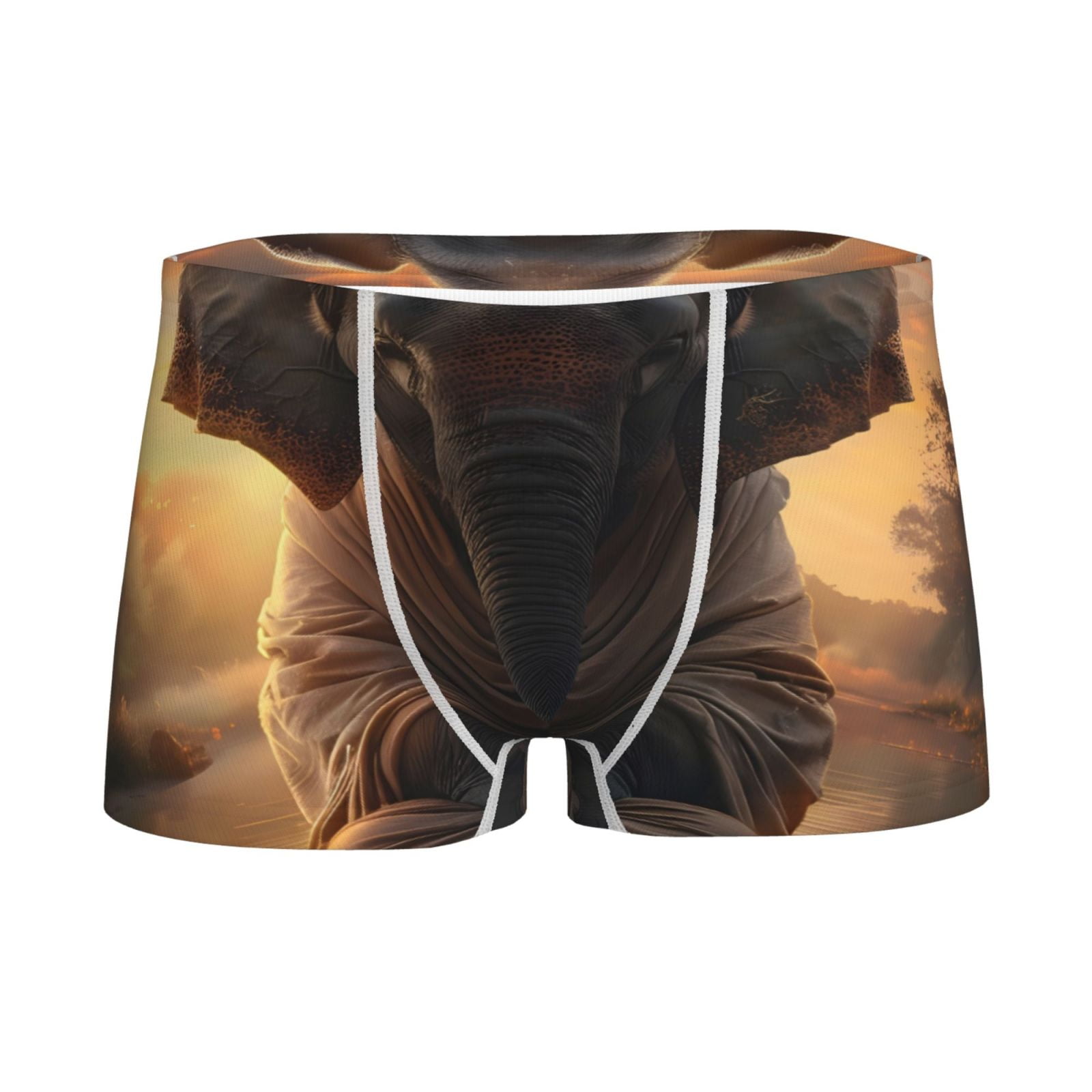 Logiee Lake Meditating Elephant Print Boys' Boxer Briefs,Tween Boy ...