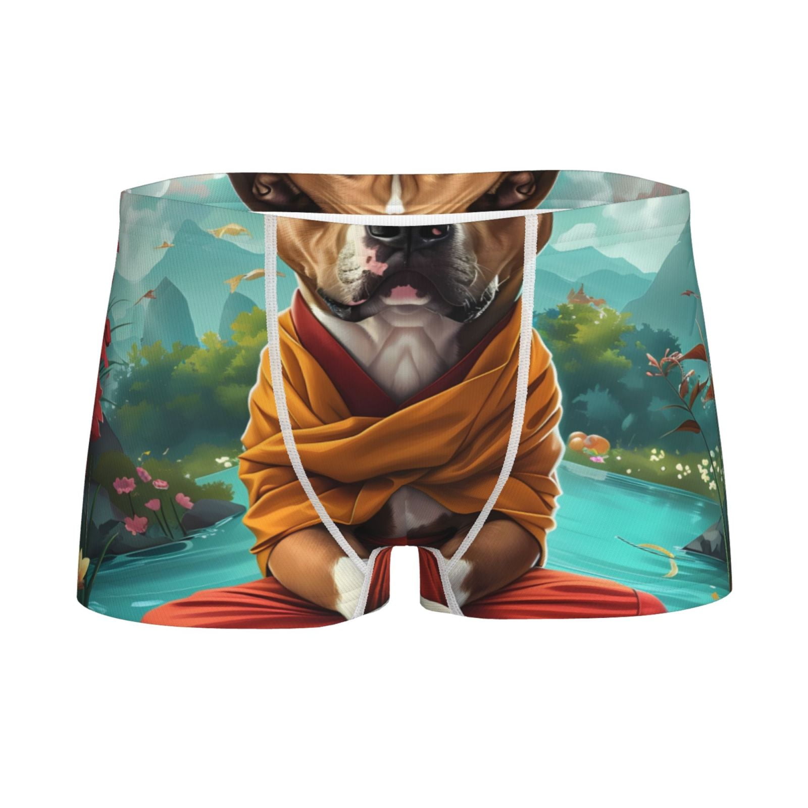 Logiee Meditating French Bulldog Print Boys' Boxer Briefs,Tween Boy ...