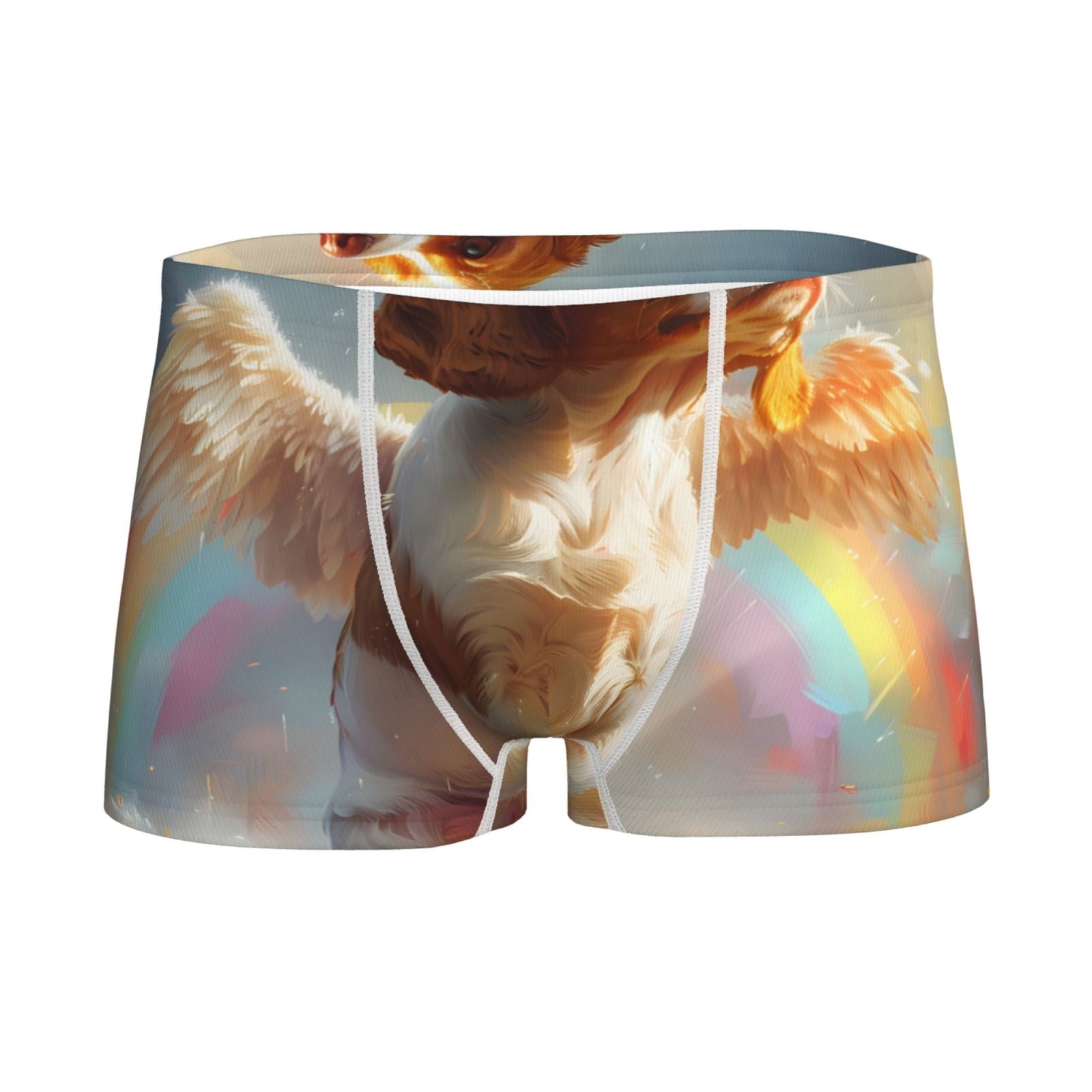 Logiee Rainbow English Cocker Spaniel Print Boys' Boxer Briefs,Tween ...