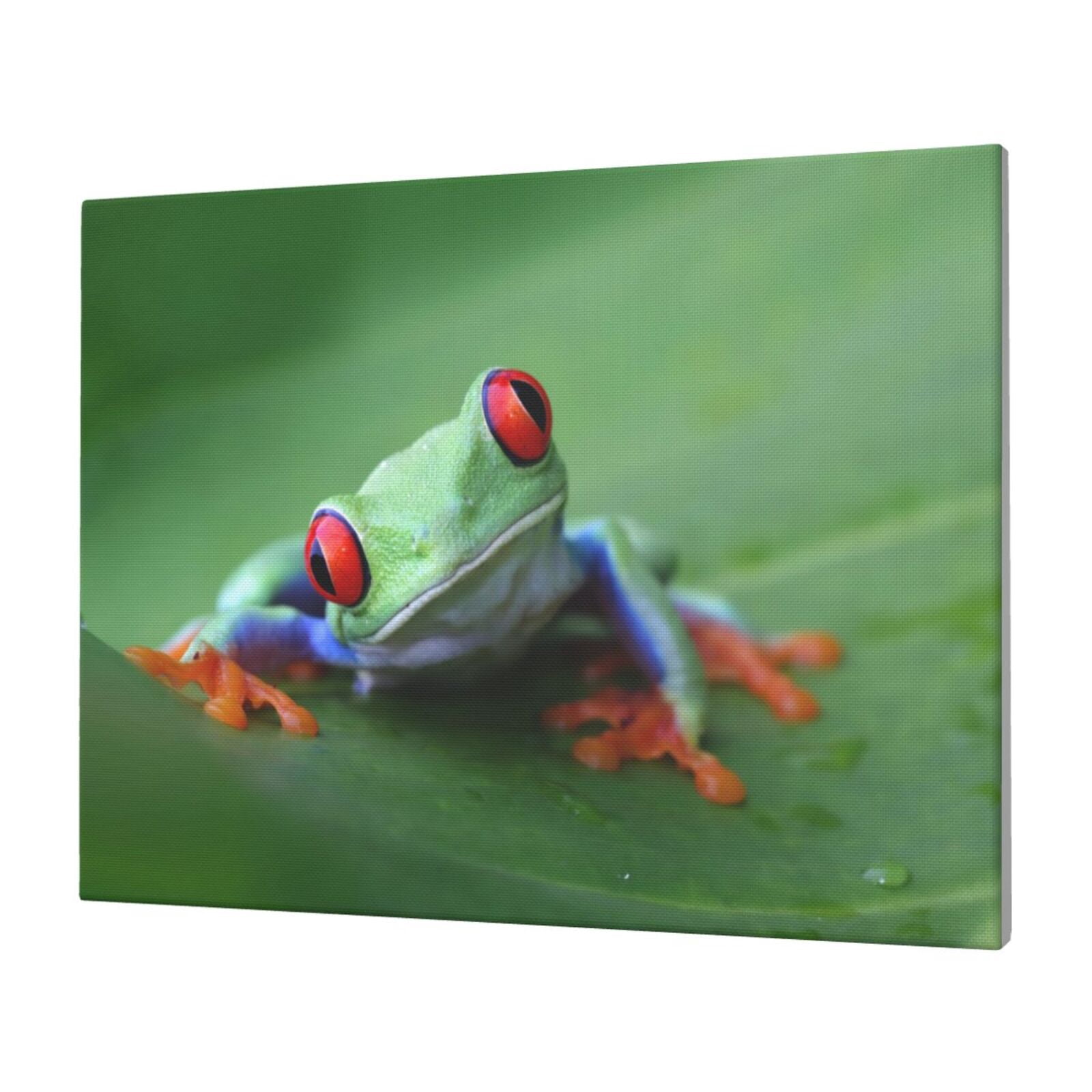 Logiee Red-Eyed Tree Frog-1 Print Canvas Wall Art,Canvas Picture Prints ...