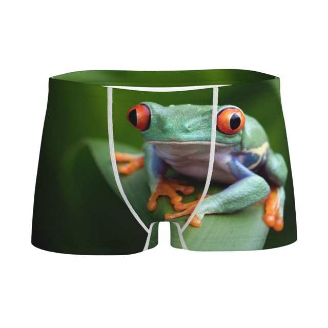 Logiee Red-Eyed Tree Frog Print Boys' Boxer Briefs,Tween Boy Underwear ...