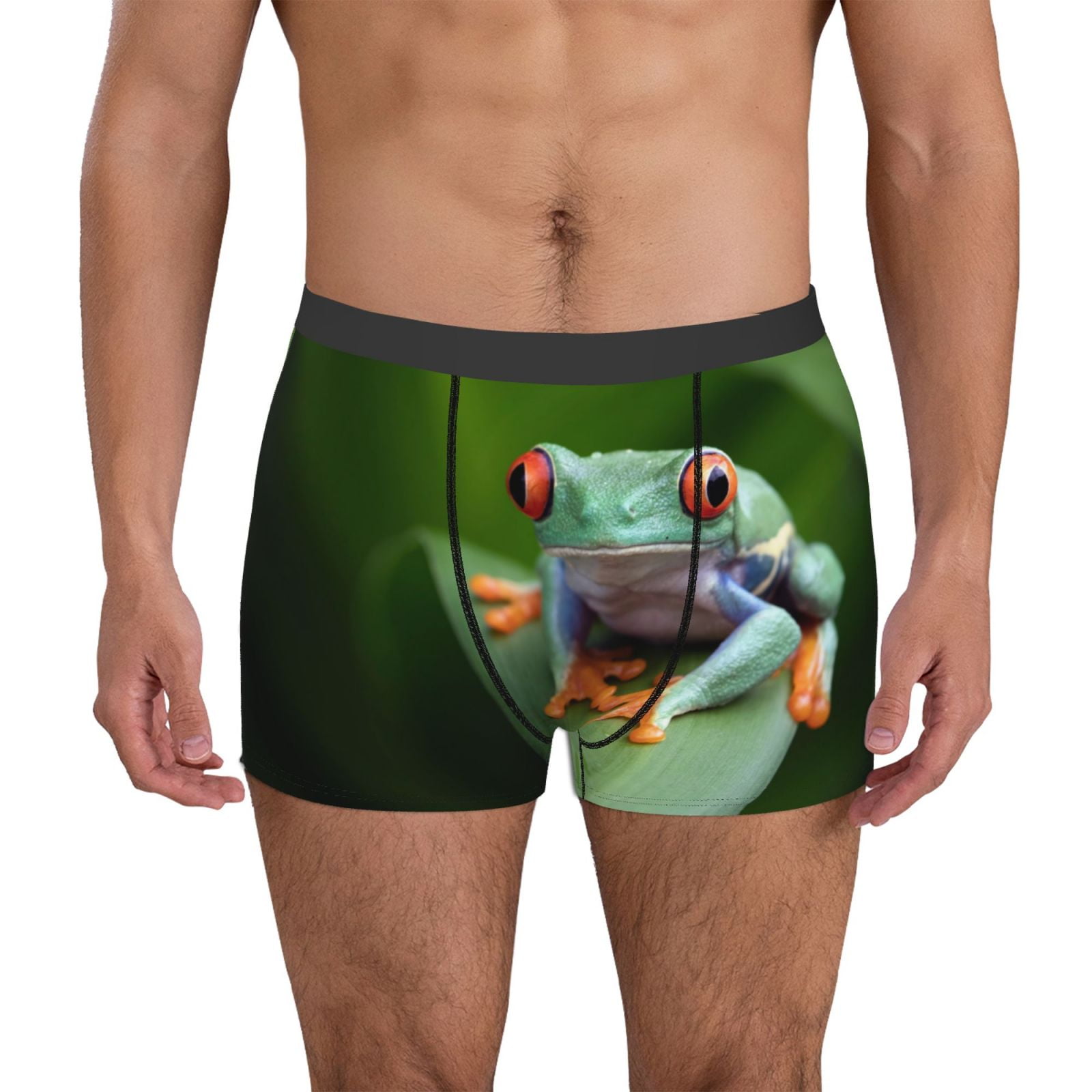 Logiee Red-Eyed Tree Frog Print Mens Boxer Briefs,Boxer Briefs for Men,Breathable Stretch ...