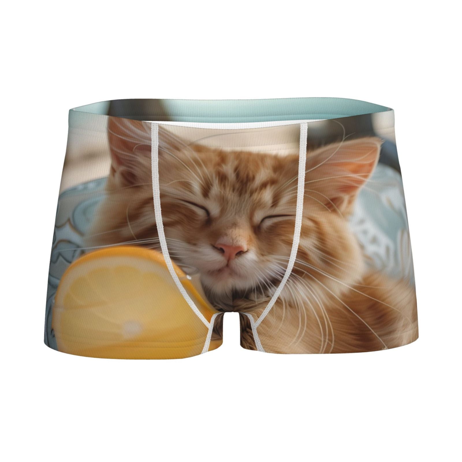 Logiee Relaxing Cat With Orange Juice Print Boys' Boxer Briefs,Tween ...