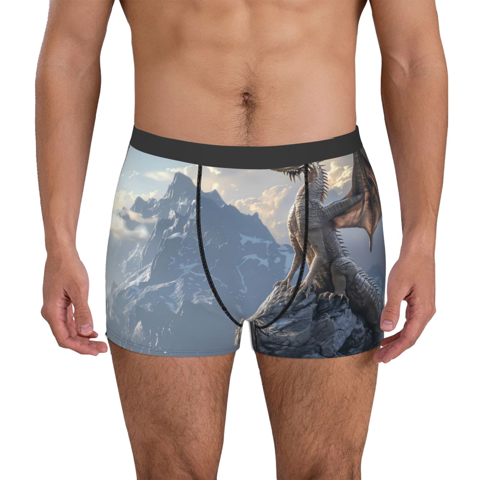 Logiee Silver Dragon Mountain Peaks Print Mens Boxer Briefs,Boxer ...