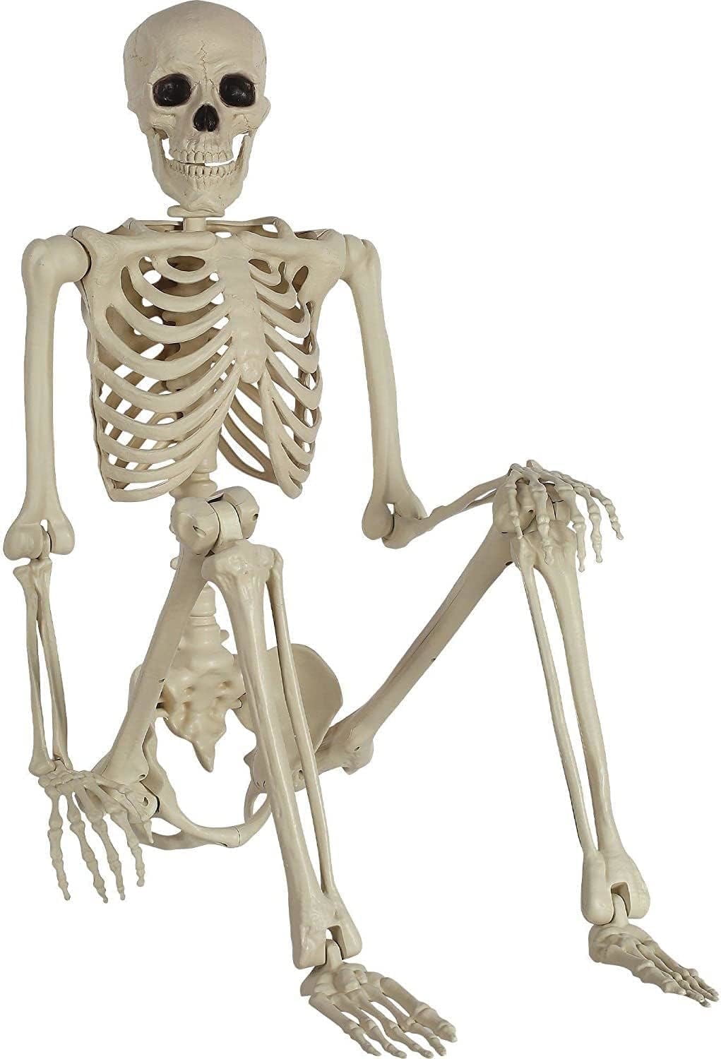 2PCS Halloween Body Realistic Faux Human Skeleton Halloween Decoration ...