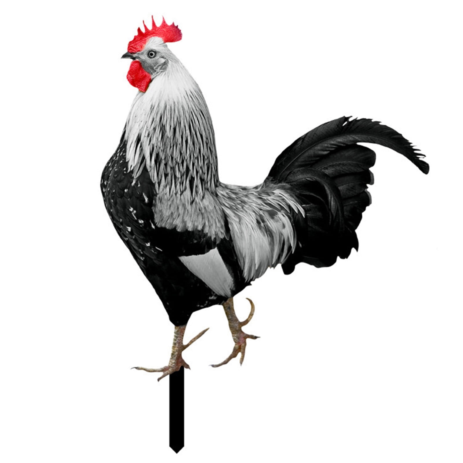 Lohuatrd Rooster Decor Realistic Life-like Ornamental Double-sided ...