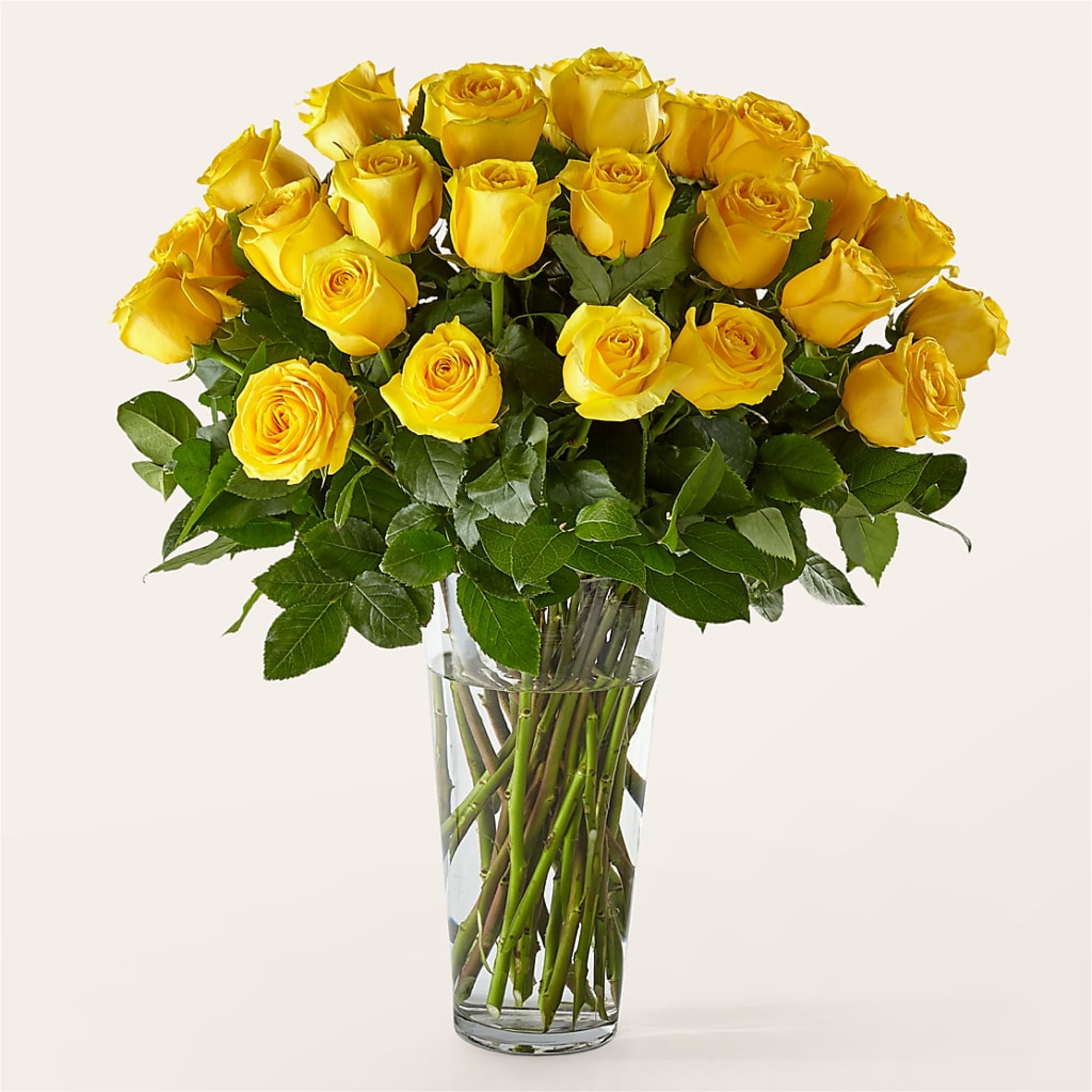 Lola's Flowers Boutique Long Stem Yellow Rose Bouquet - Exquisite - 36 ...