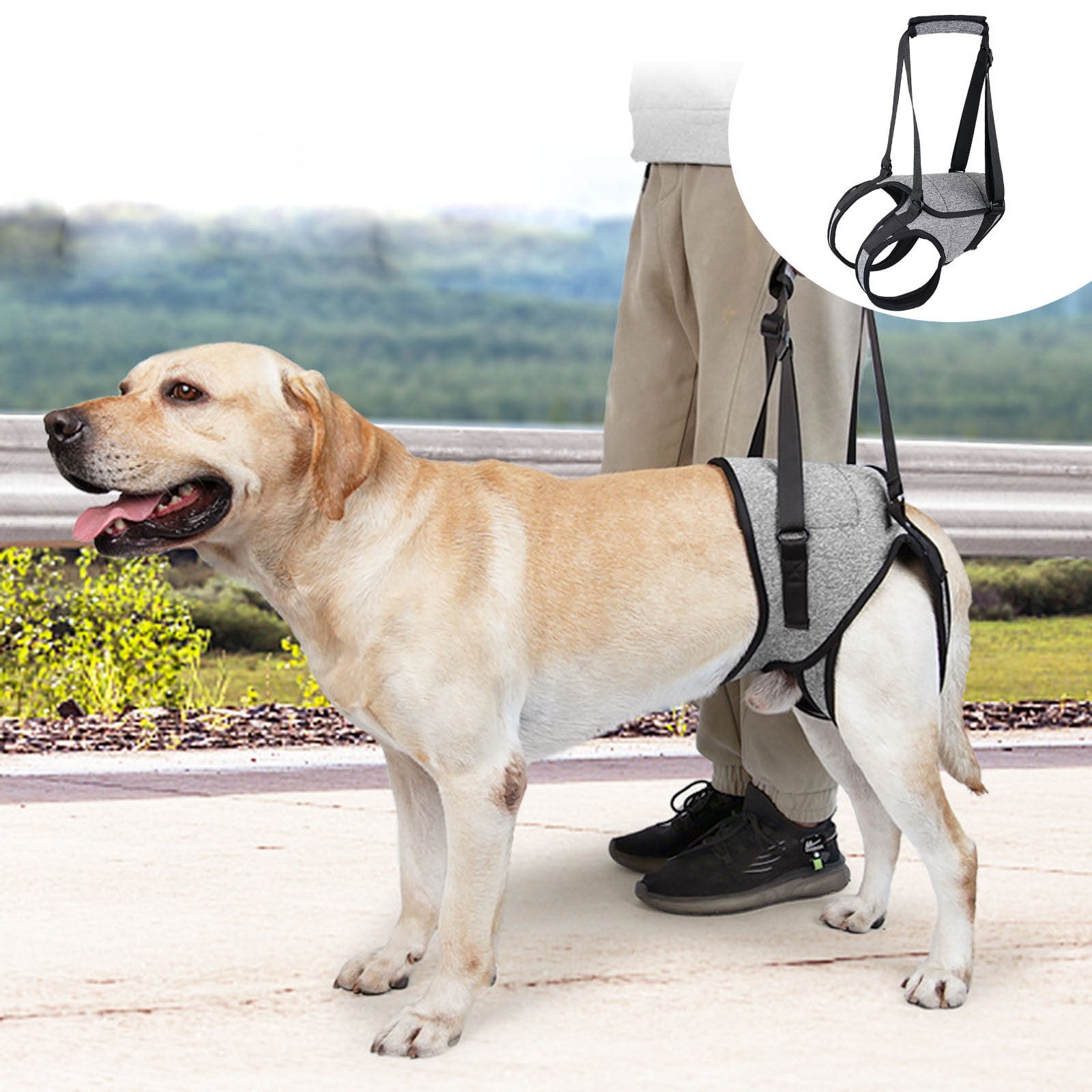 Lolynie Dog Sling For Large Dogs Leg Support To Help Rehabilitate The ...