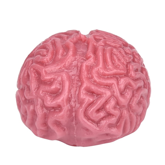 Squishy Brain