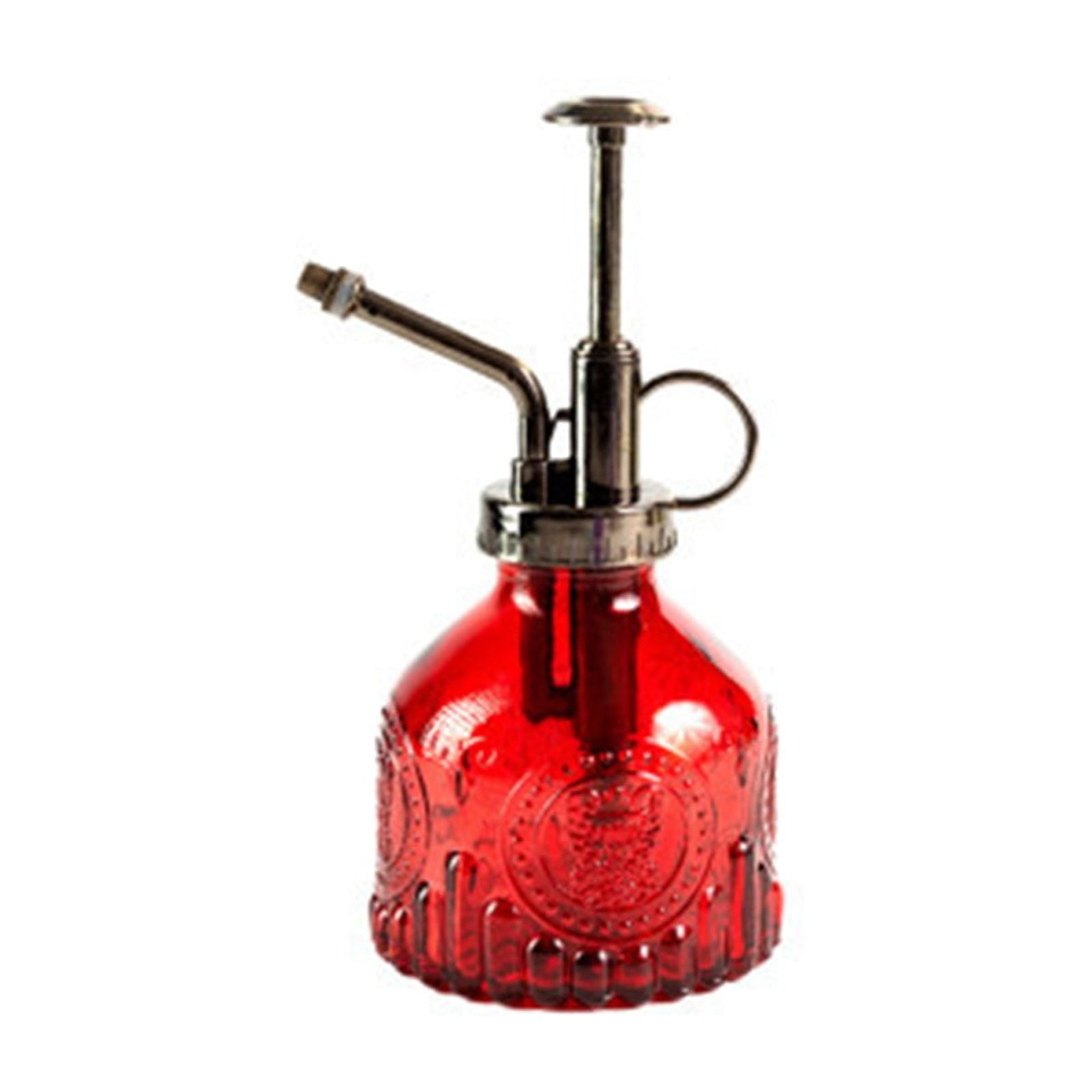 Lolynie Vintage Spritzer Watering Can, Succulent Watering Bottle With ...