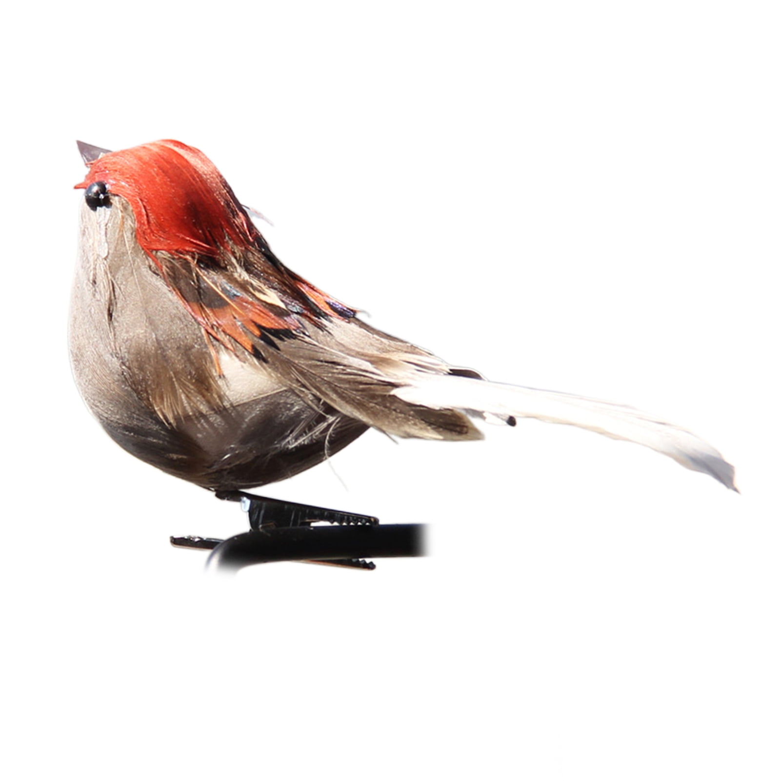 Lomubue Fake Sparrow Handmade Realistic Feathered Metal Clip 3D Eyes ...