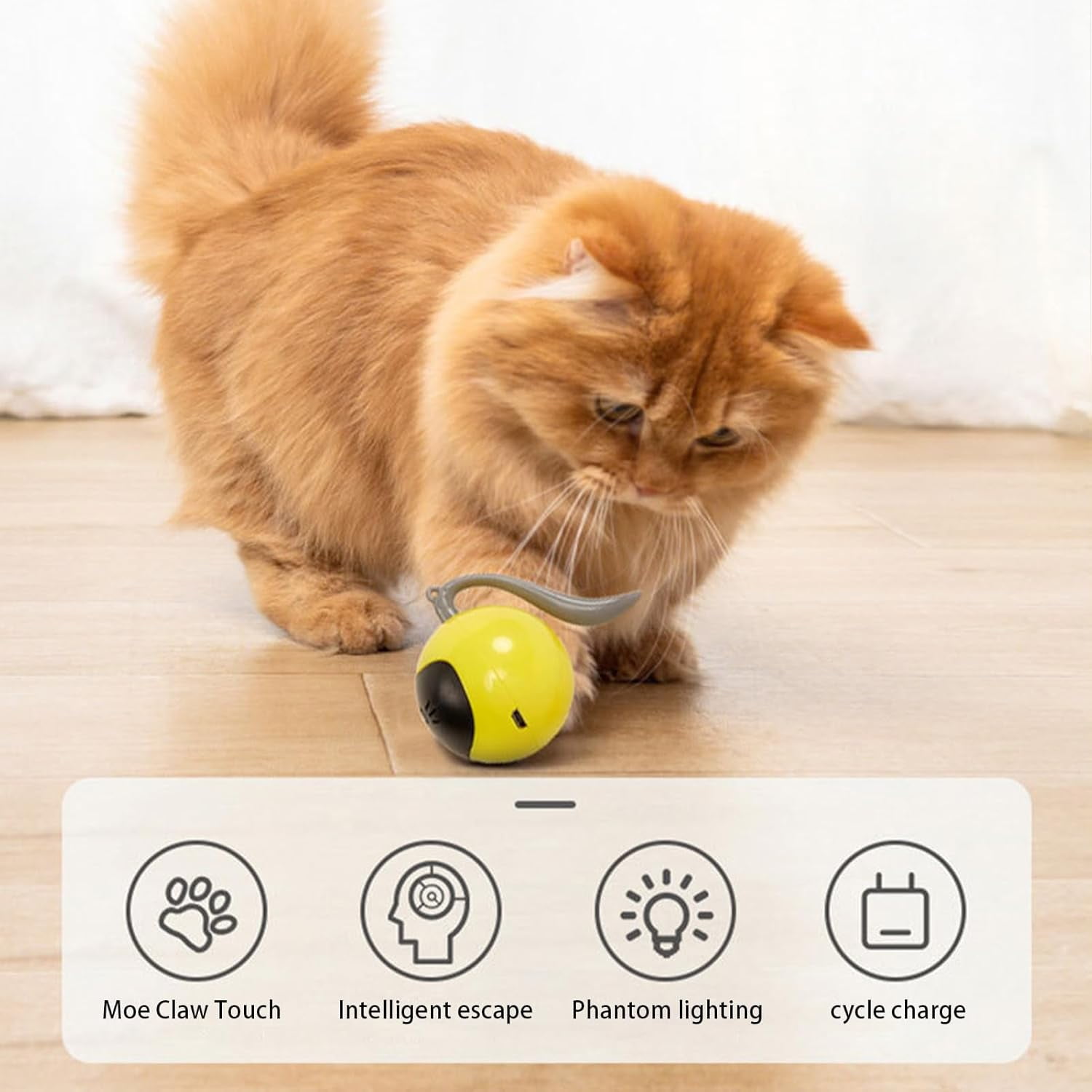 Lomyolo Cat Toy Interactive Cat Ball Toy Set, Fun Tracker, Automatic ...