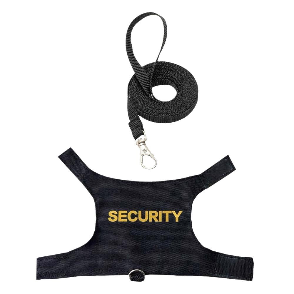 Lona Bearded Dragon Leashes and Harness Set Comfortable Adjustable ...