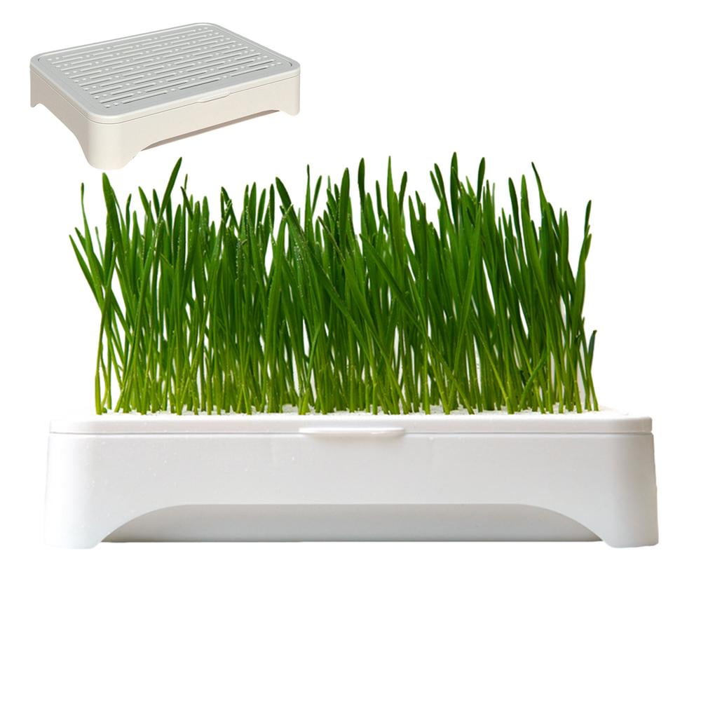 Lona Cat Grass Sprouting Tray Cat Grass Hydroponic Sprout Tray Planter ...