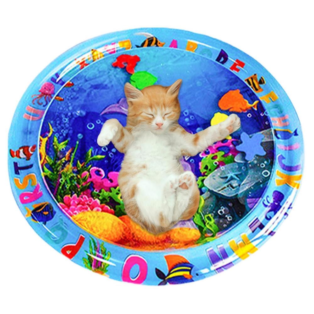 Lona Cat Sensory Water Mat Portable Cat Play Mat Cat Toys for Bored ...