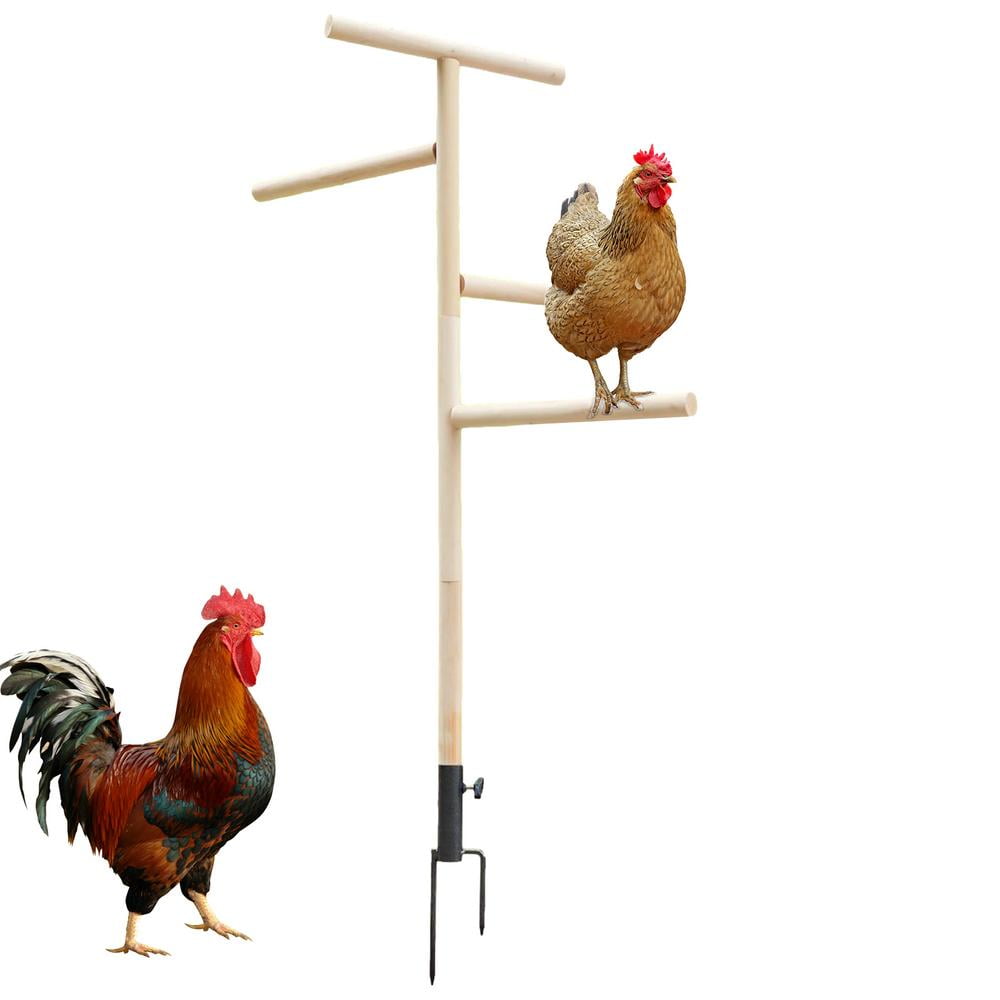 Lona Chick Perch Stand Large Outdoor Stand Toy Perch for Chicken ...